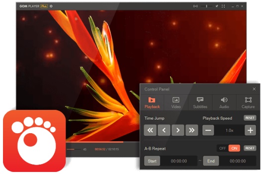 Gom Player para Windows Download
