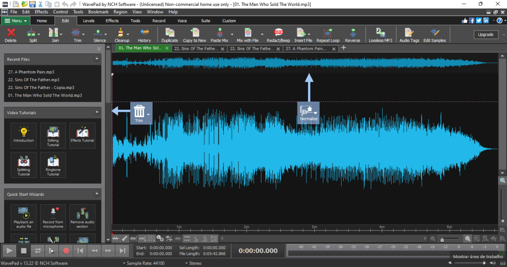 Wavepad Free para Windows Download