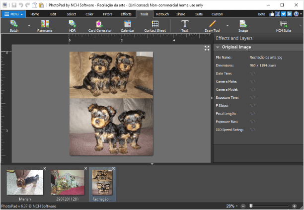 PhotoPad Photo Editing Software para Windows Download