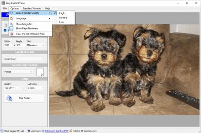 Easy Poster Printer para Windows Download - Baixesoft